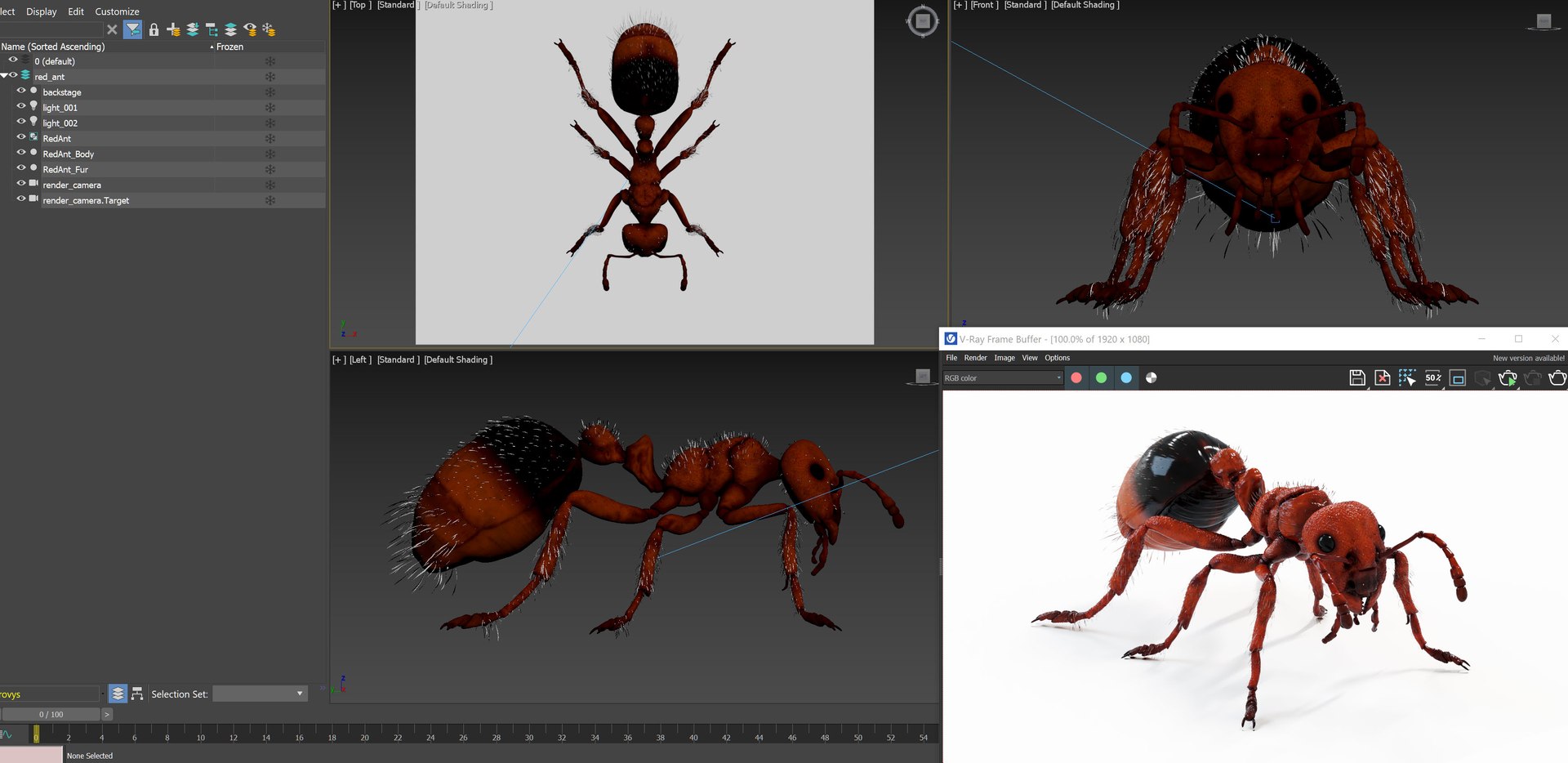 Red Ant Static 3D Model - TurboSquid 2069866