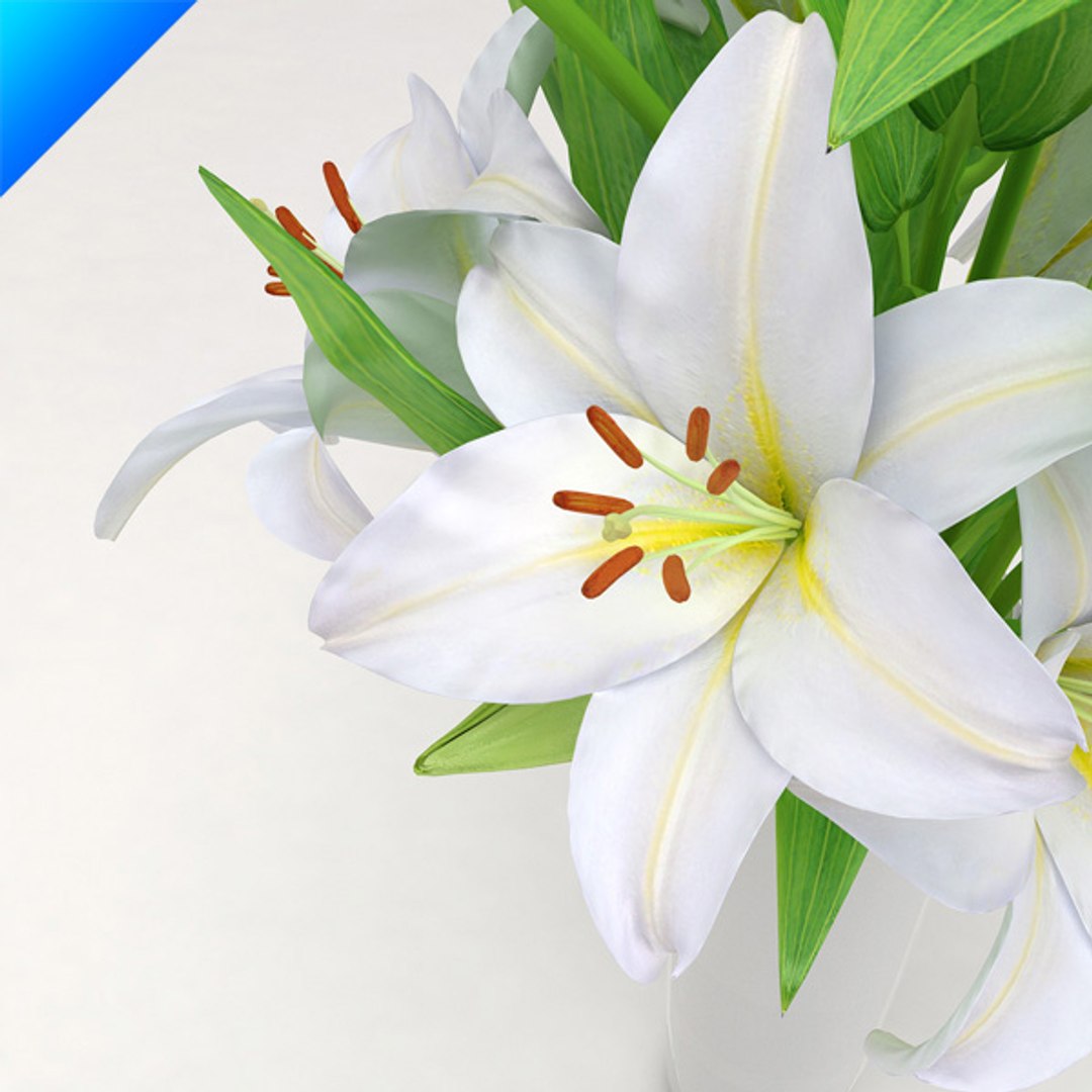 3d Flower Arrangement Design
