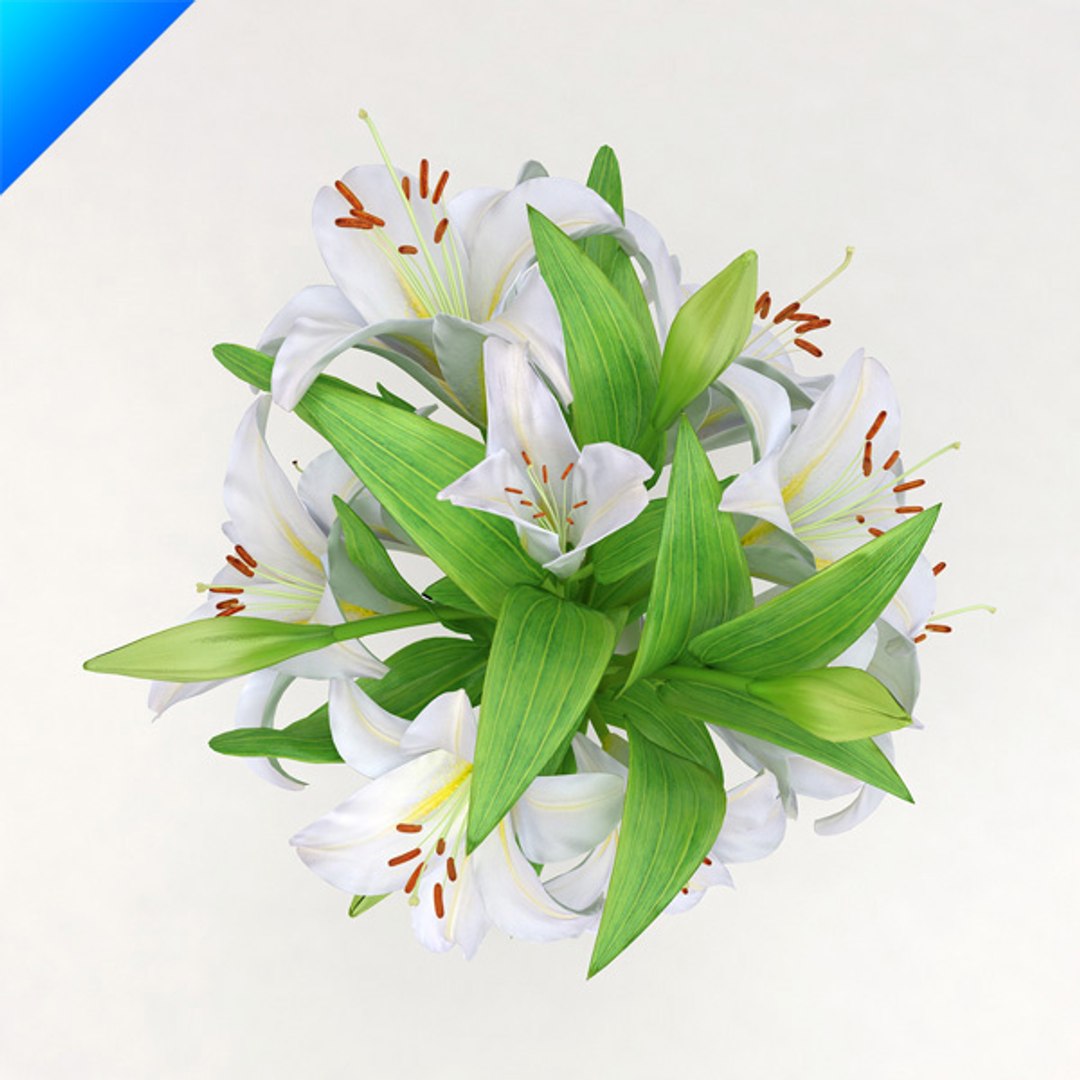 3d Flower Arrangement Design