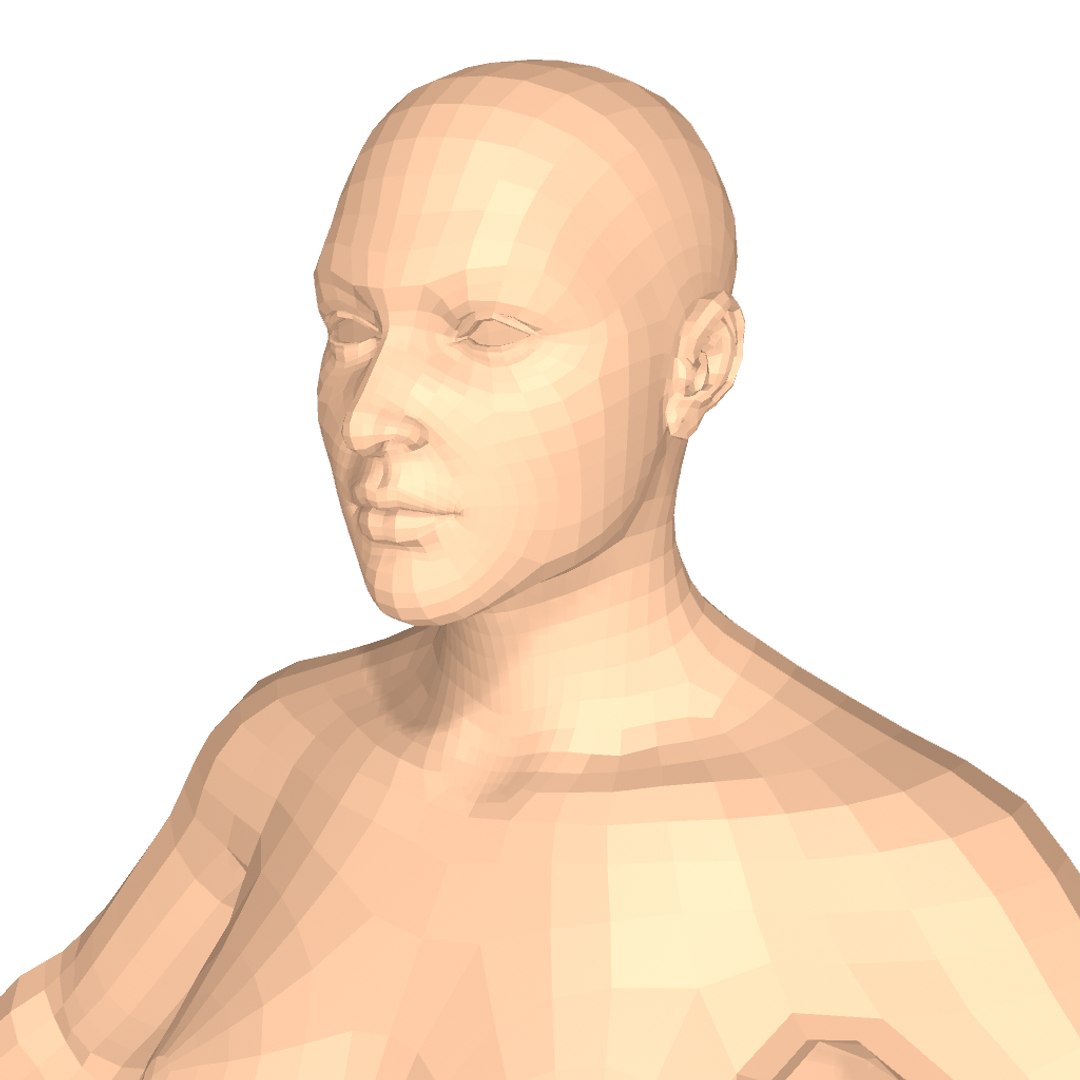Female Body 3d Model