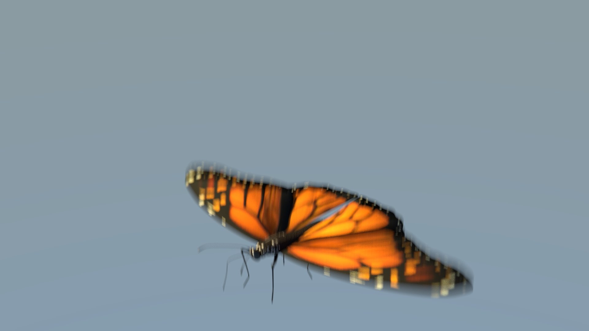 3d Model Monarch Butterfly Animations Rig