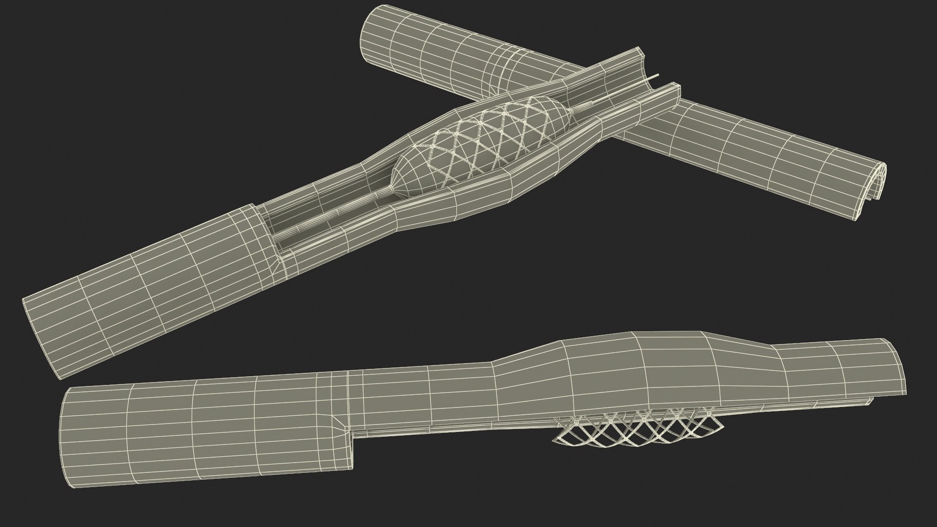 Plastic Models Of Stents With Artery 3D Model - TurboSquid 2239722