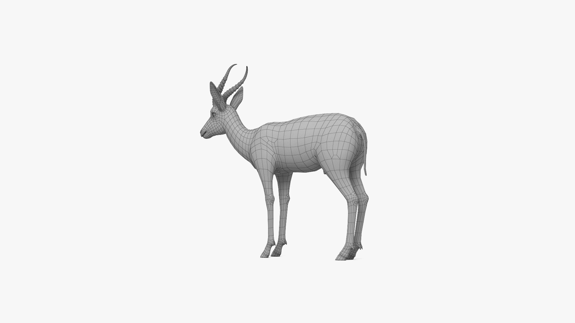 3D model Springbok - TurboSquid 2063847