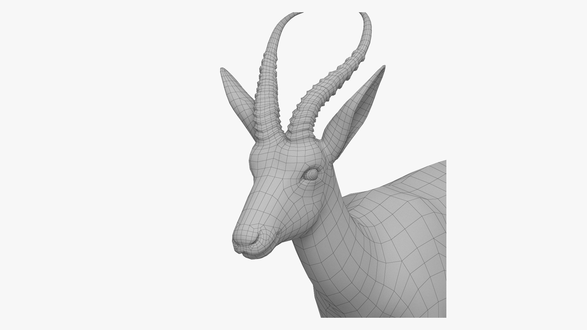 3D model Springbok - TurboSquid 2063847