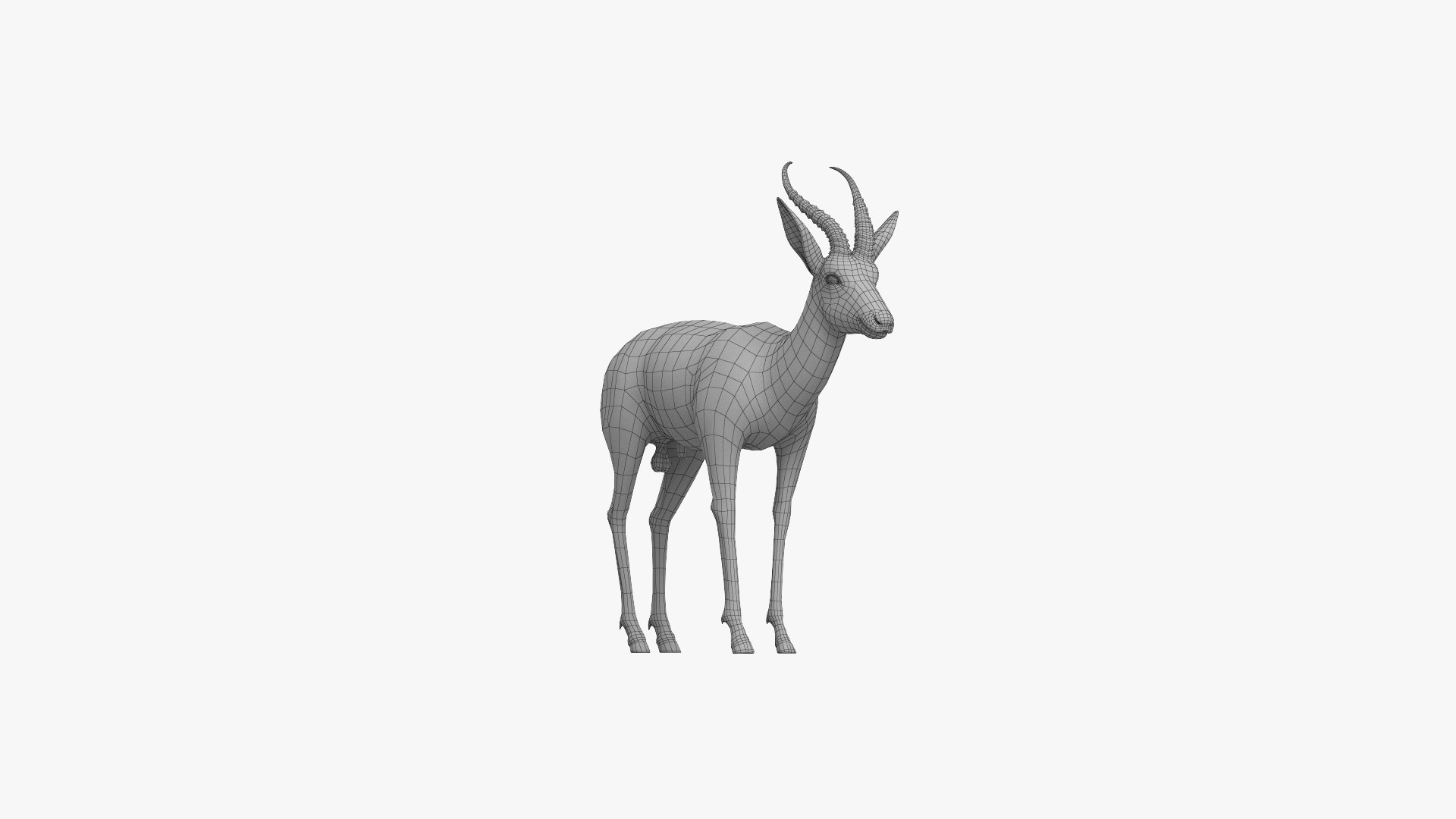 3D model Springbok - TurboSquid 2063847