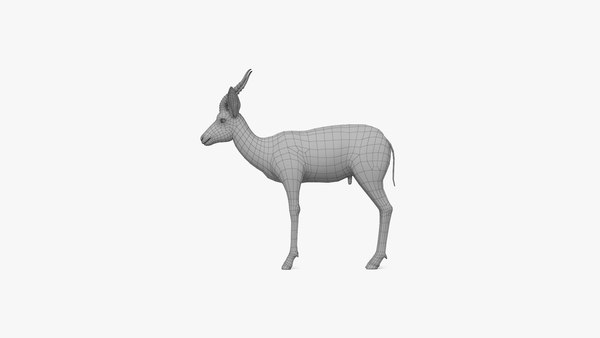 modelo 3d Springbok - TurboSquid 2063847