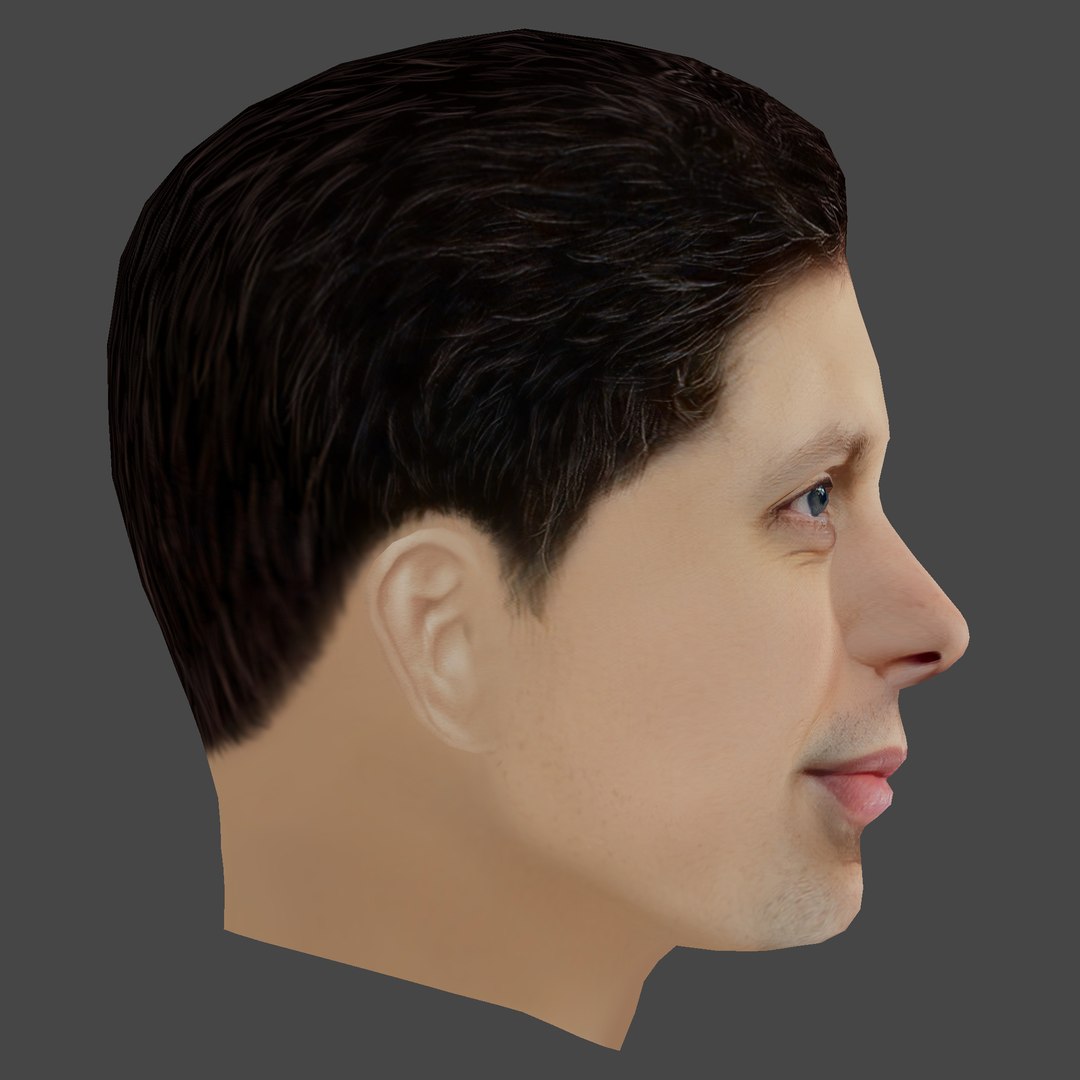 3D Sam Altman Head - Low Poly Head For Game Model - TurboSquid 2289214