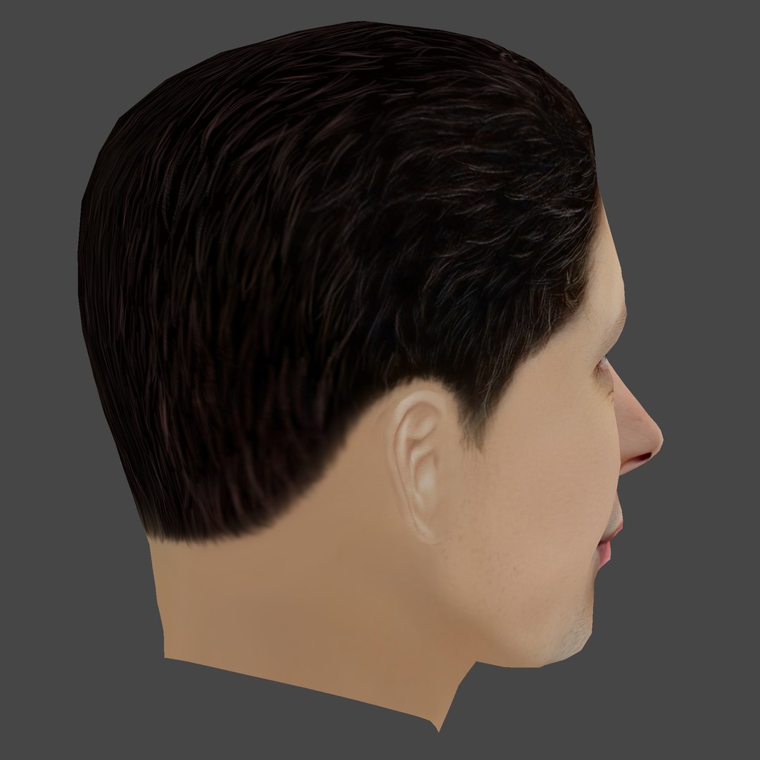 3D Sam Altman Head - Low Poly Head For Game Model - TurboSquid 2289214