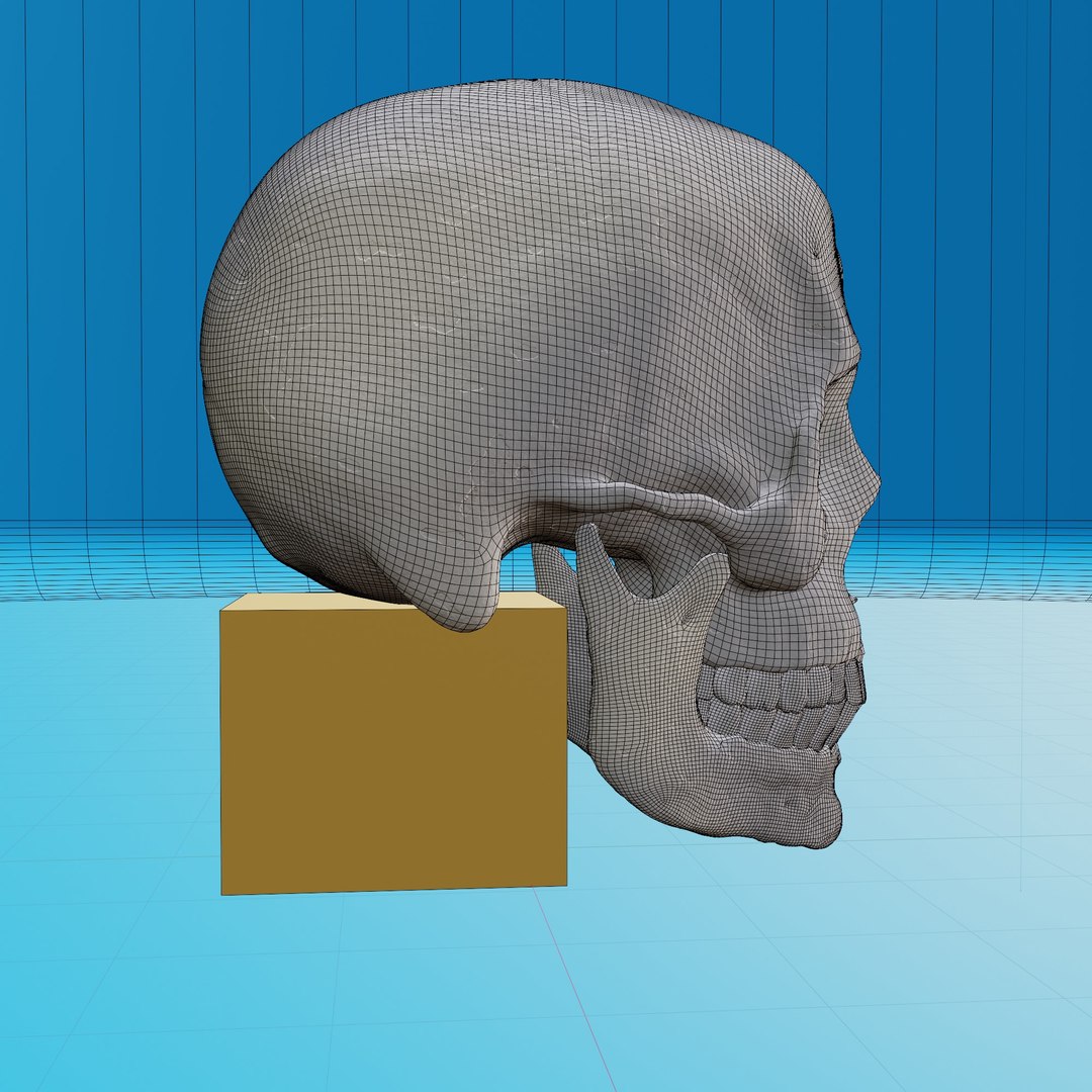 3d Model Of A Human Skull Model - TurboSquid 1930197