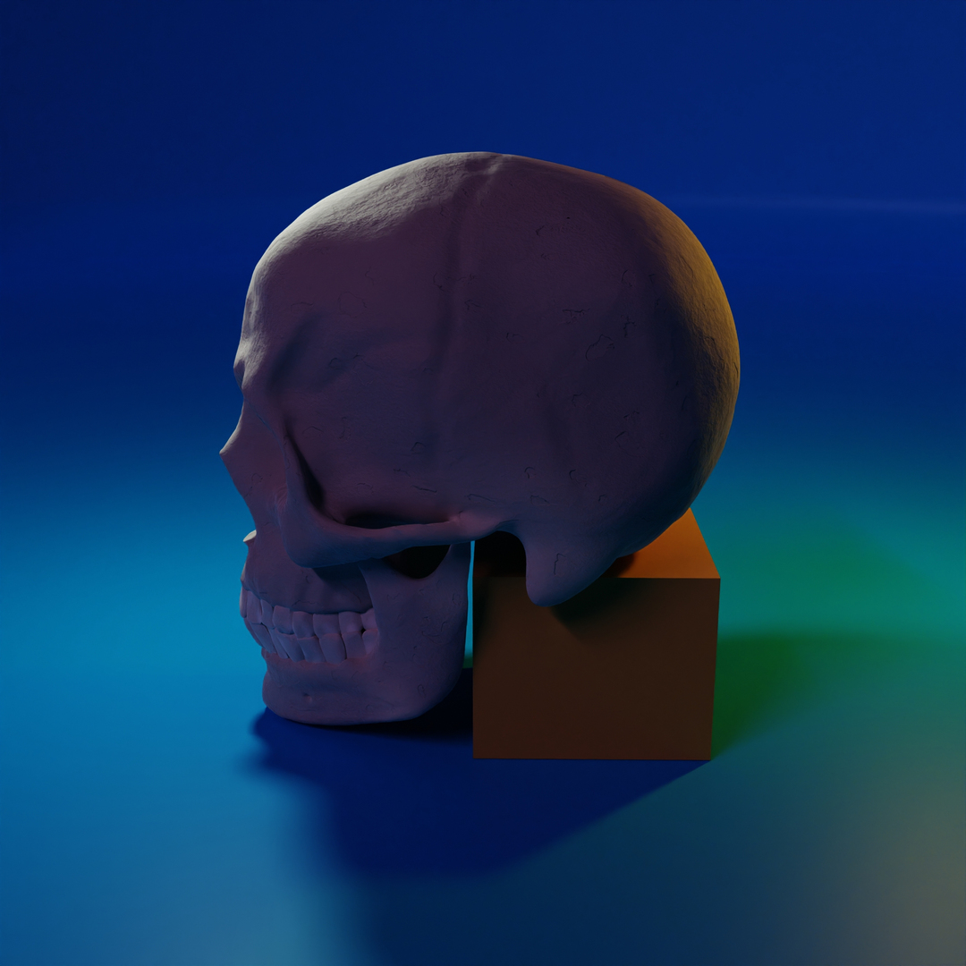 modelo 3d modelo 3d de un cráneo humano gratis - TurboSquid 1930197