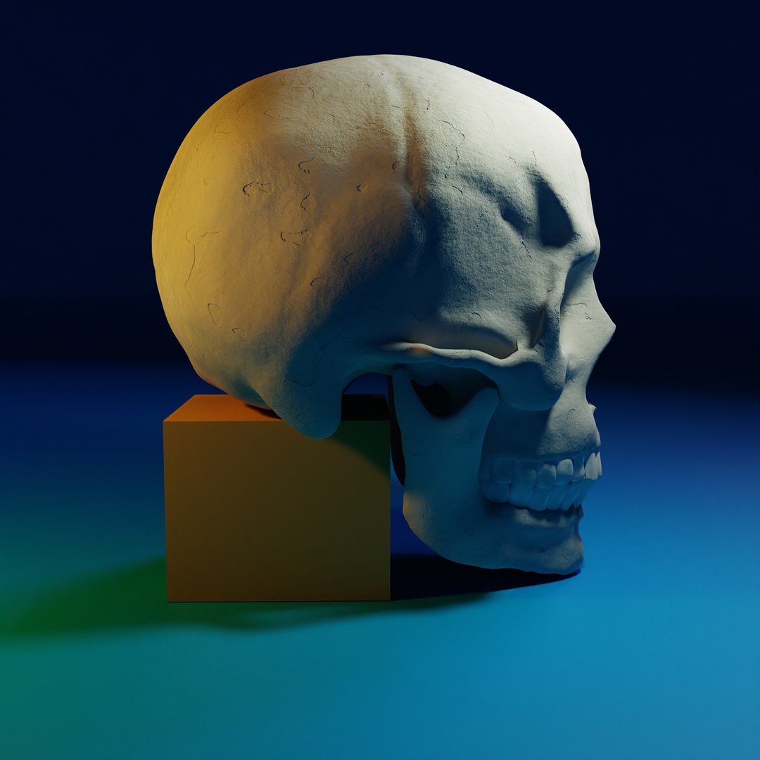3d Model Of A Human Skull Model - TurboSquid 1930197