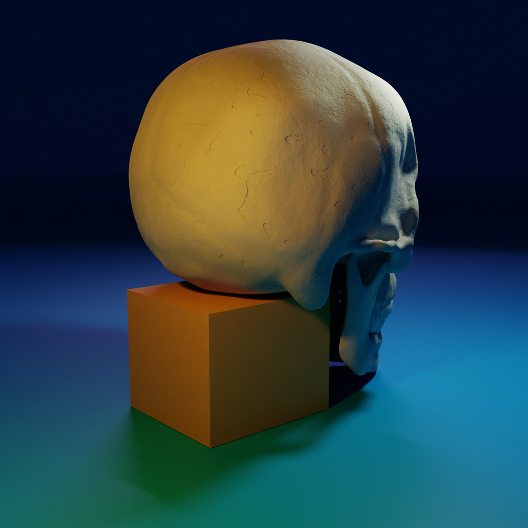 modelo 3d modelo 3d de un cráneo humano gratis - TurboSquid 1930197
