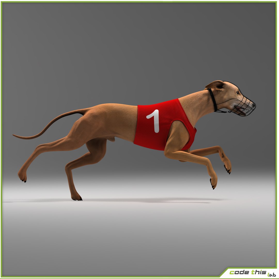 hound dog 3d model