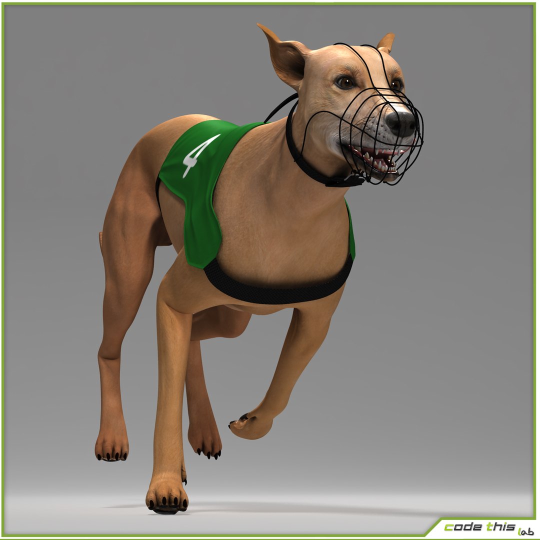 hound dog 3d model