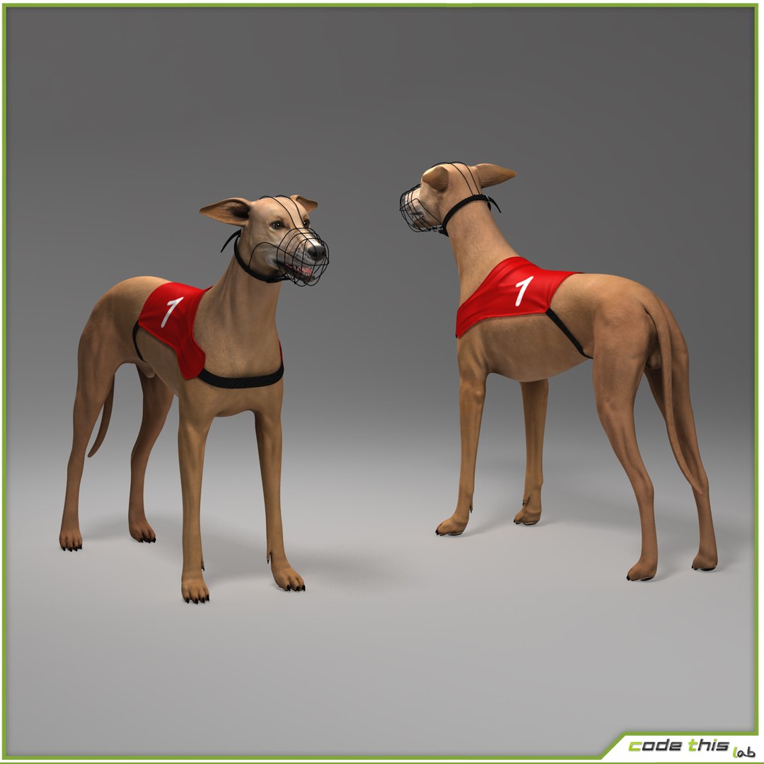 Hound Dog 3d Model