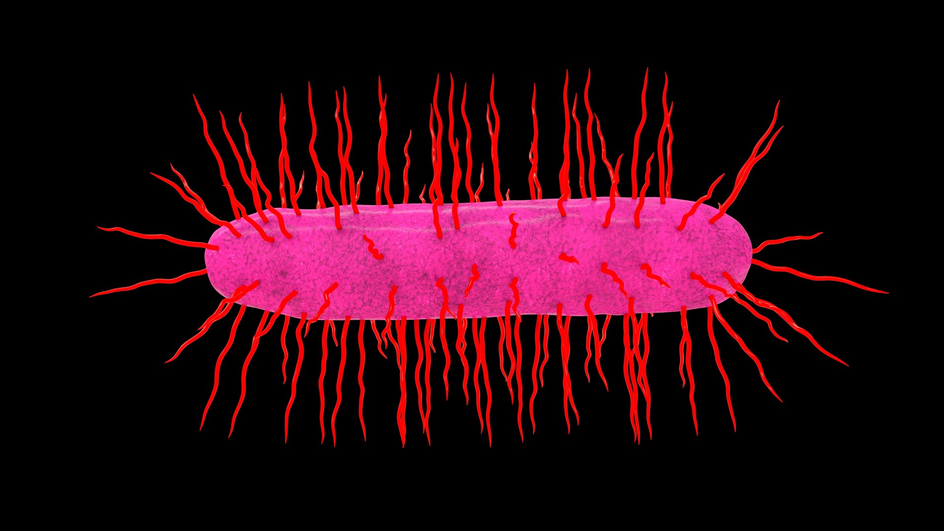3D Bacterial Motility Model - TurboSquid 2220488