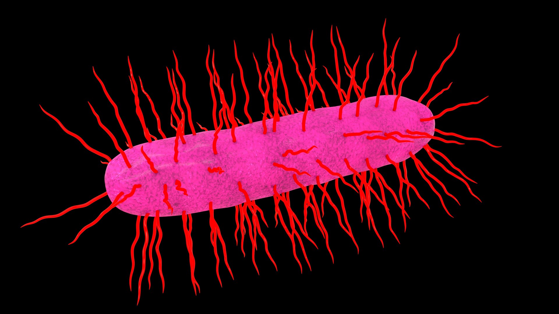 3D Bacterial Motility Model - TurboSquid 2220488