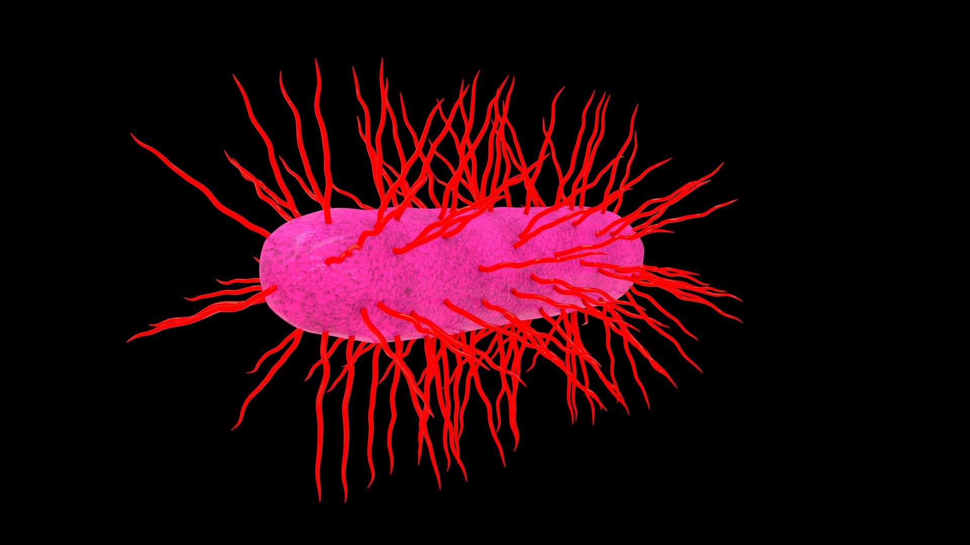 3D Bacterial Motility Model - TurboSquid 2220488