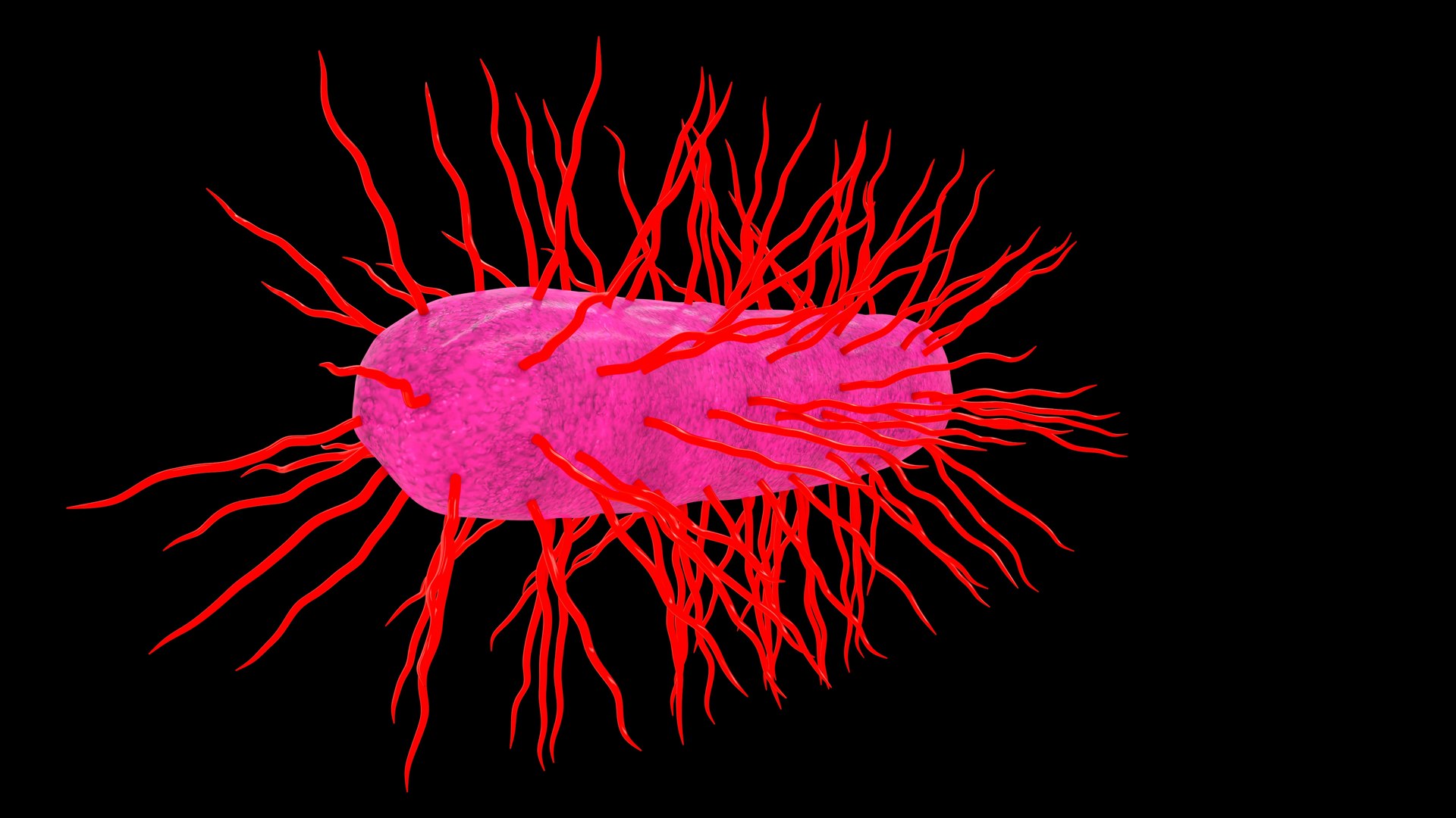 3D Bacterial Motility Model - TurboSquid 2220488