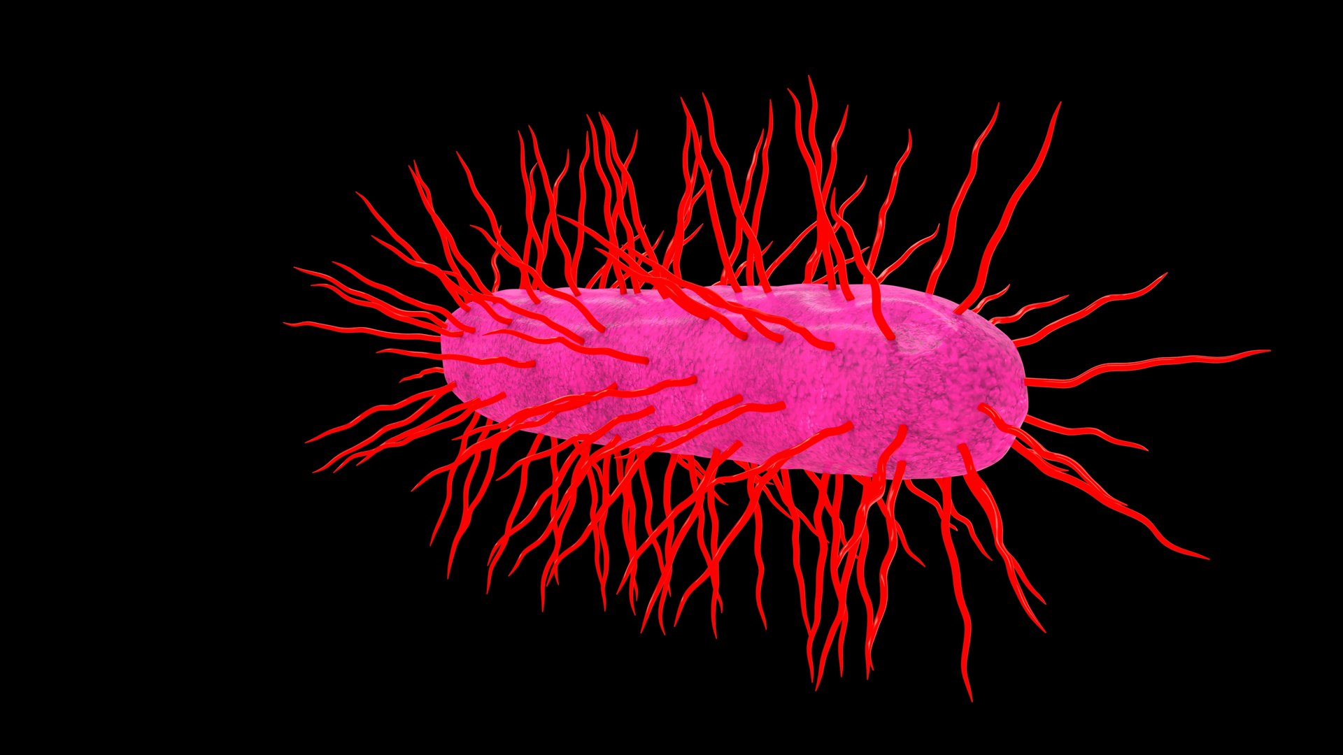 3D Bacterial Motility Model - TurboSquid 2220488