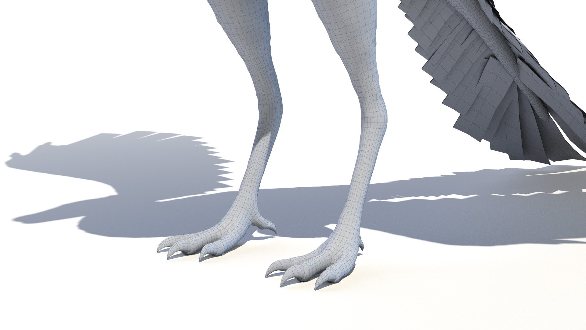 Archaeopteryx 3D Model - TurboSquid 1587666