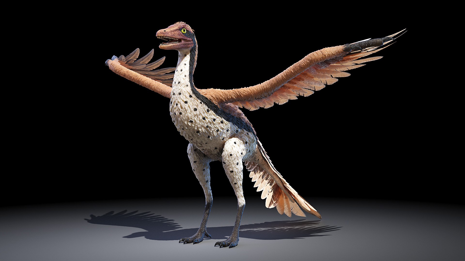 Archaeopteryx 3D Model - TurboSquid 1587666