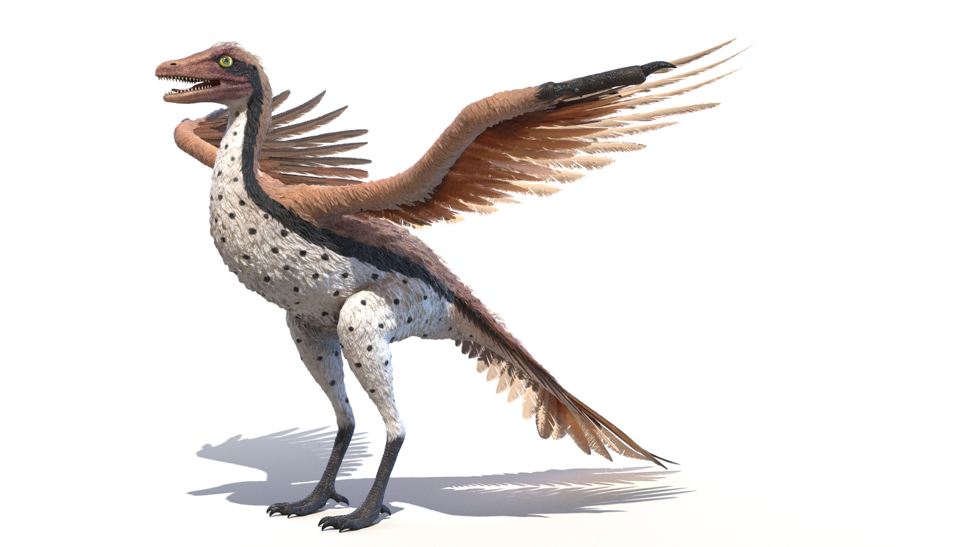 Archaeopteryx 3D Model - TurboSquid 1587666