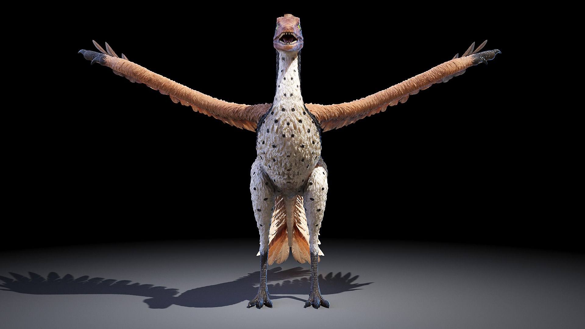 Archaeopteryx 3D Model - TurboSquid 1587666