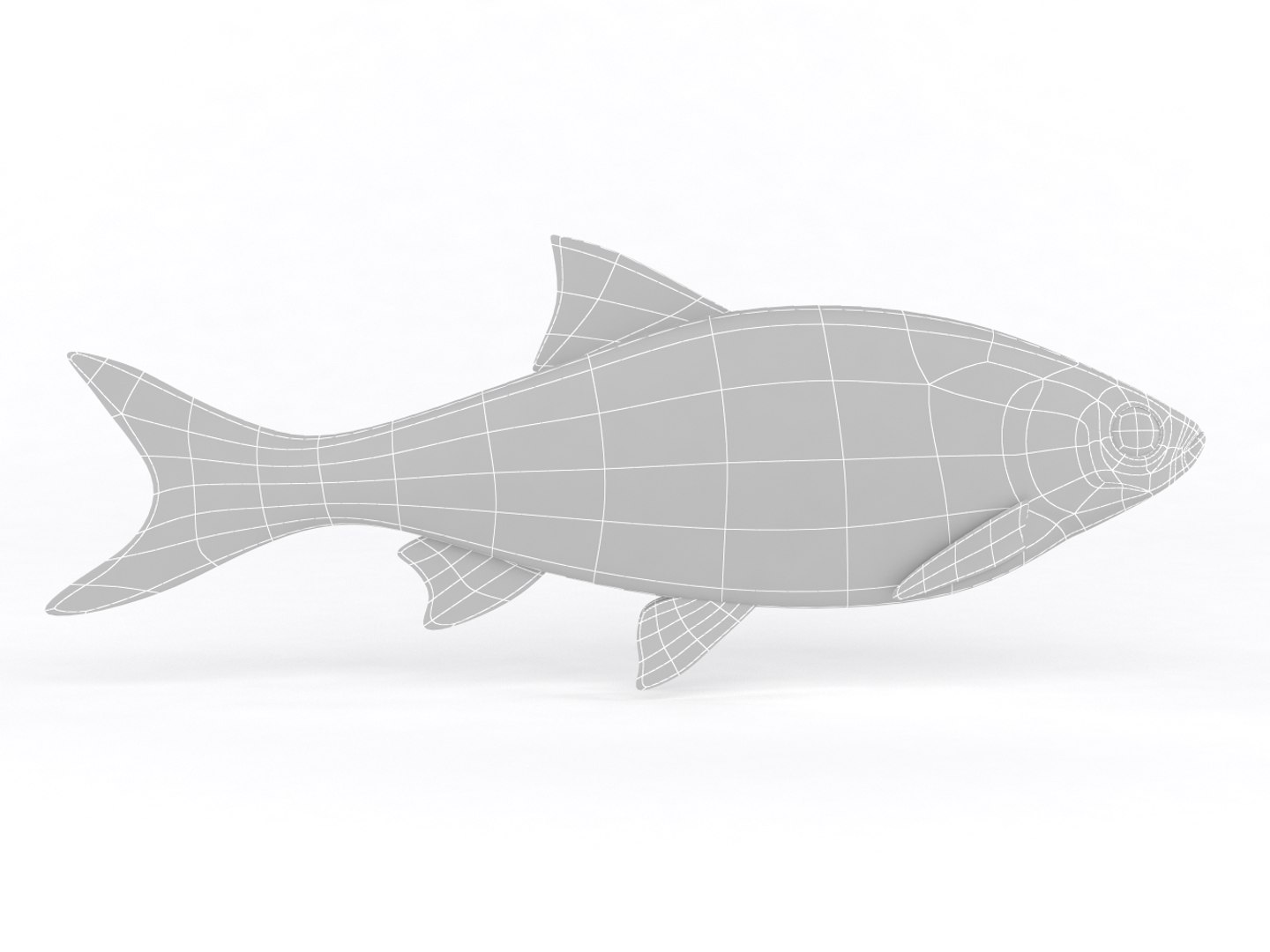 3D Model Roach Fish - TurboSquid 1445735