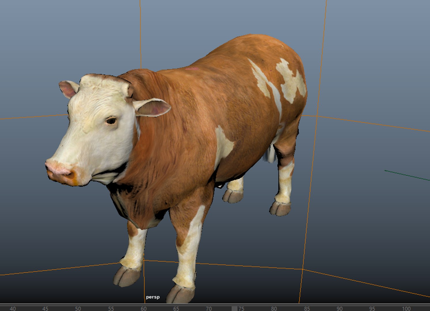 3D Cattle - TurboSquid 1543215