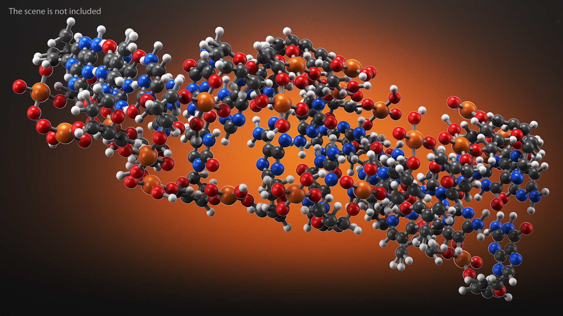 3D DNA Structures Collection Model - TurboSquid 2298708