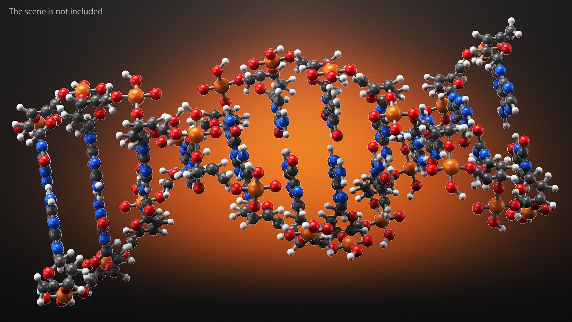 3D DNA Structures Collection Model - TurboSquid 2298708