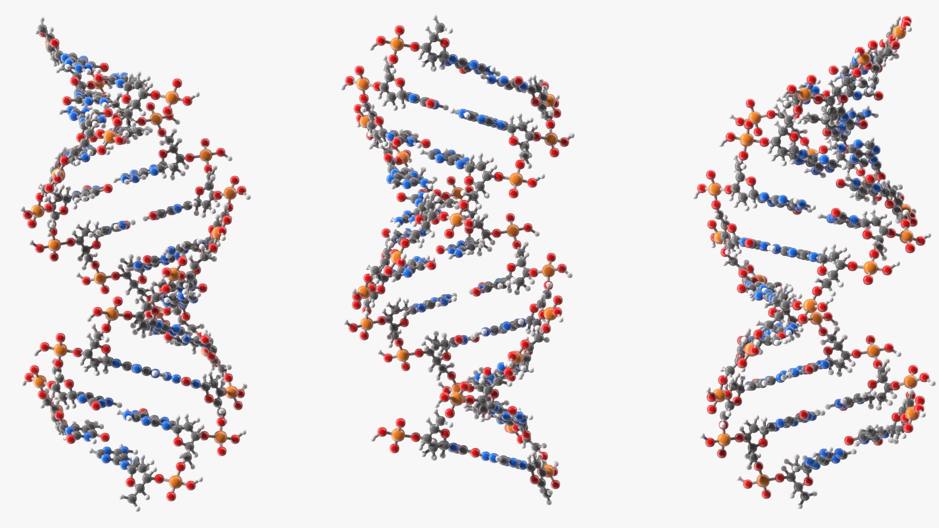 3D DNA Structures Collection Model - TurboSquid 2298708