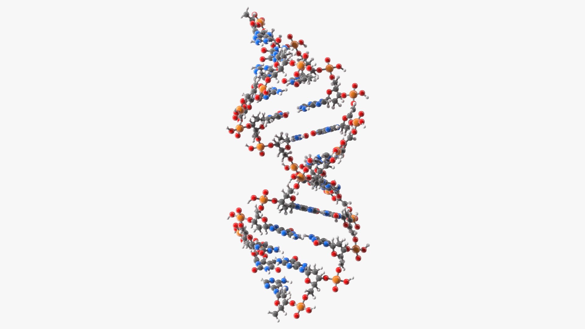 3D DNA Structures Collection Model - TurboSquid 2298708