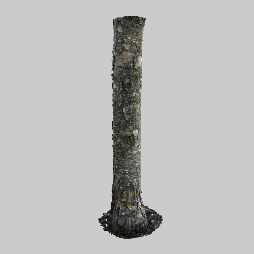 tree trunk 3d max