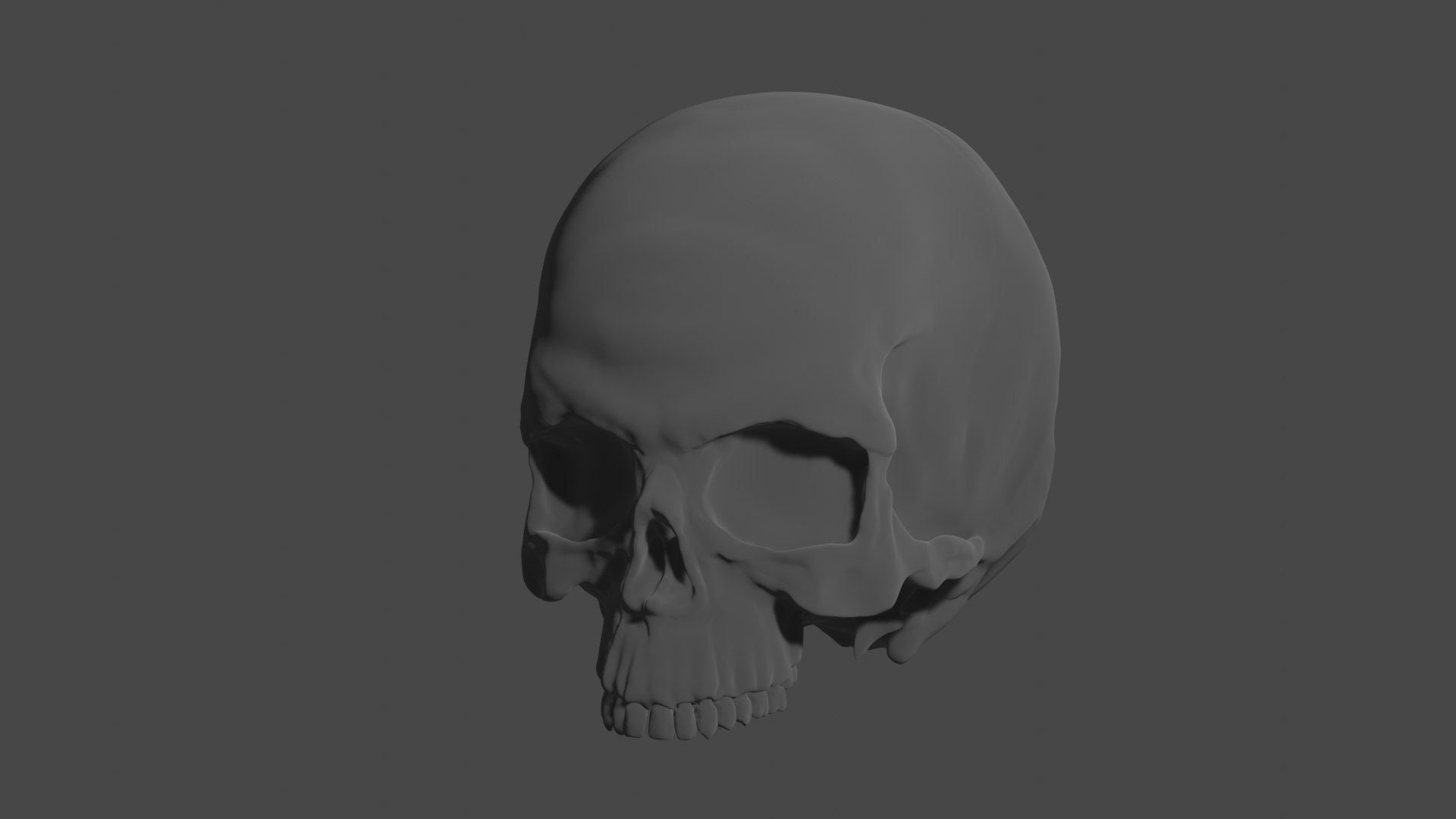 3D Basic Human Skull For Decoration - TurboSquid 2061608