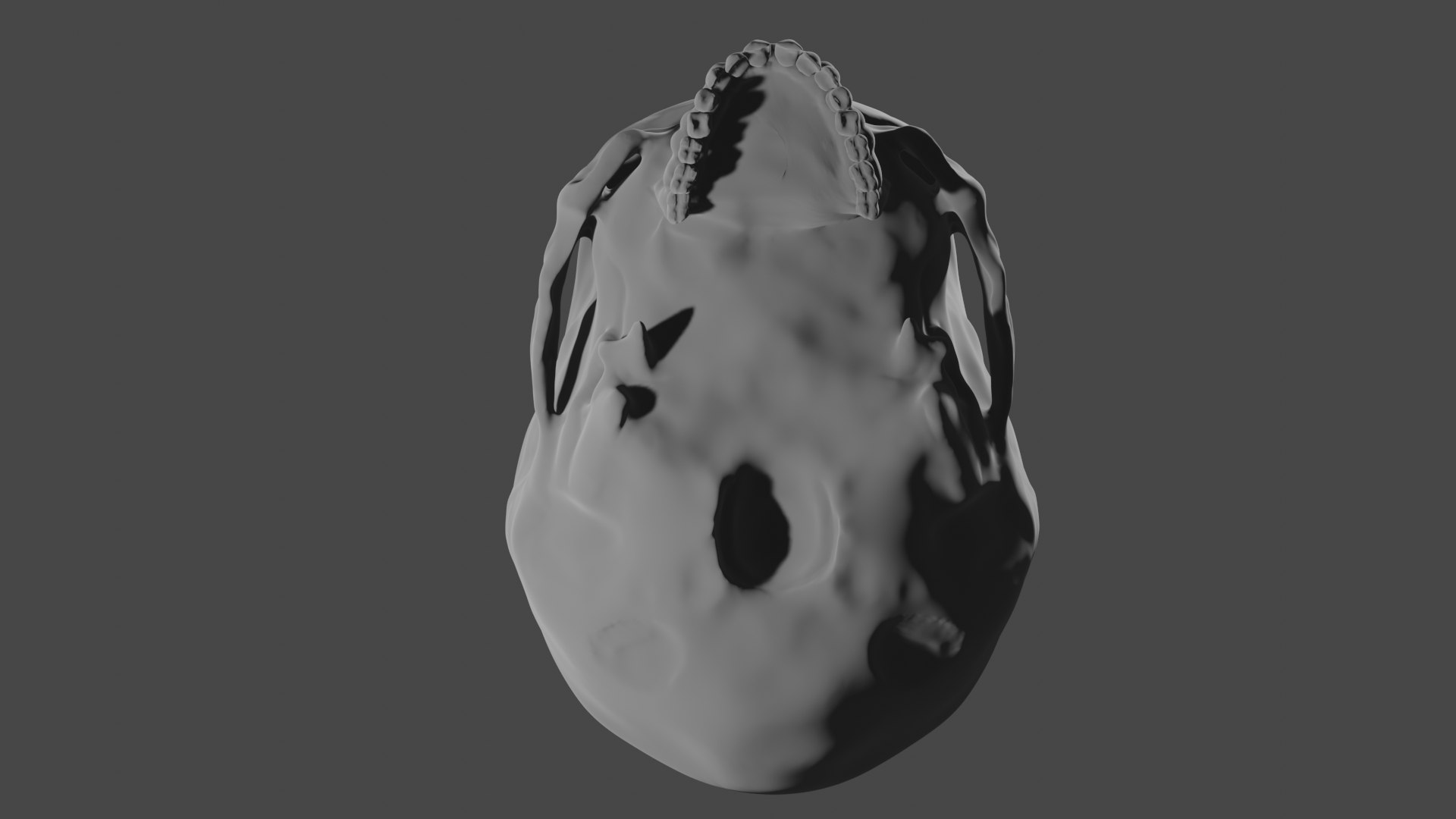 3D Basic Human Skull For Decoration - TurboSquid 2061608