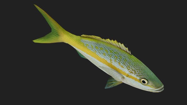 modelo 3d pargo - TurboSquid 2119723