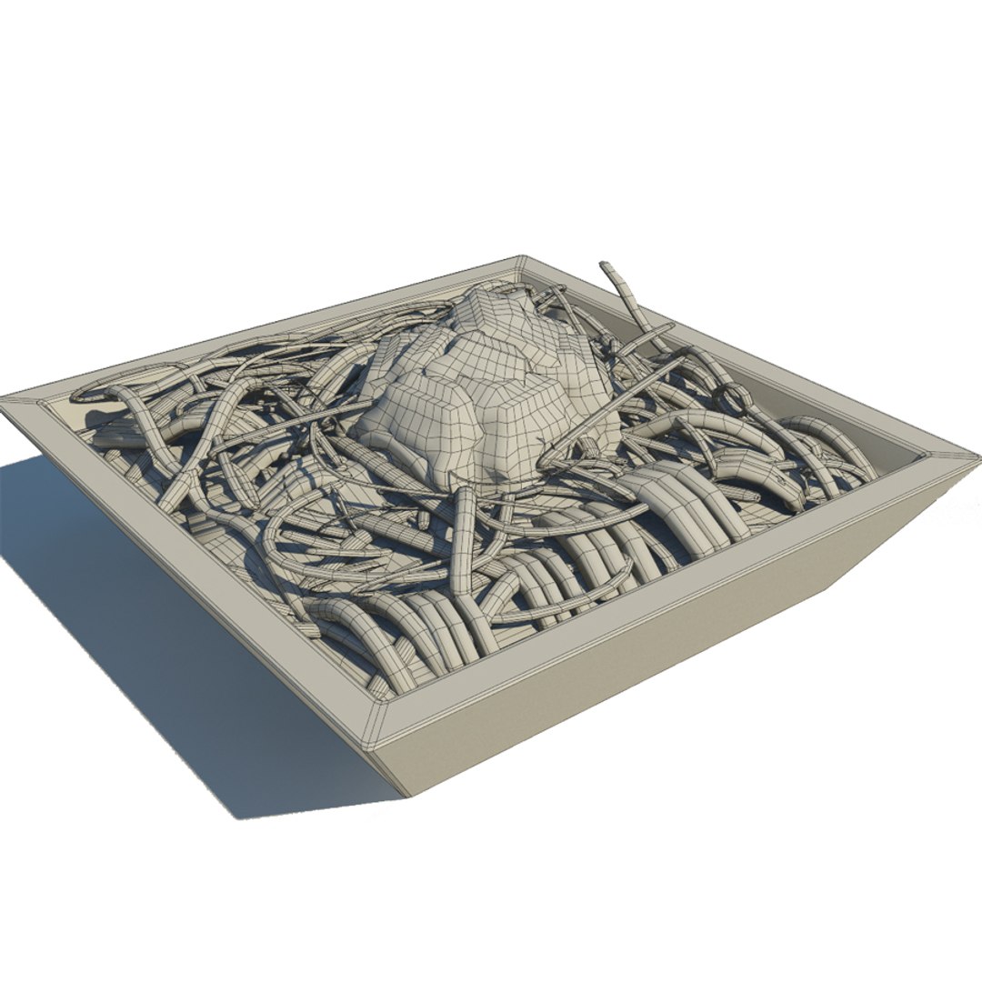 3d Model Pasta