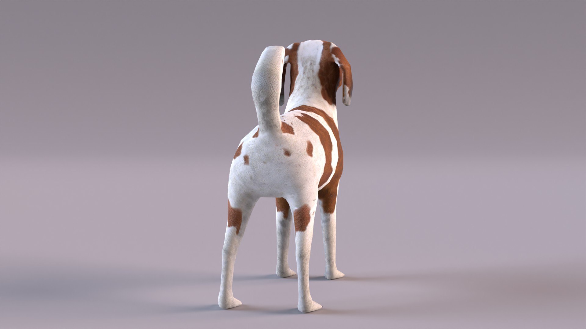 3D beagle dog model - TurboSquid 1431708