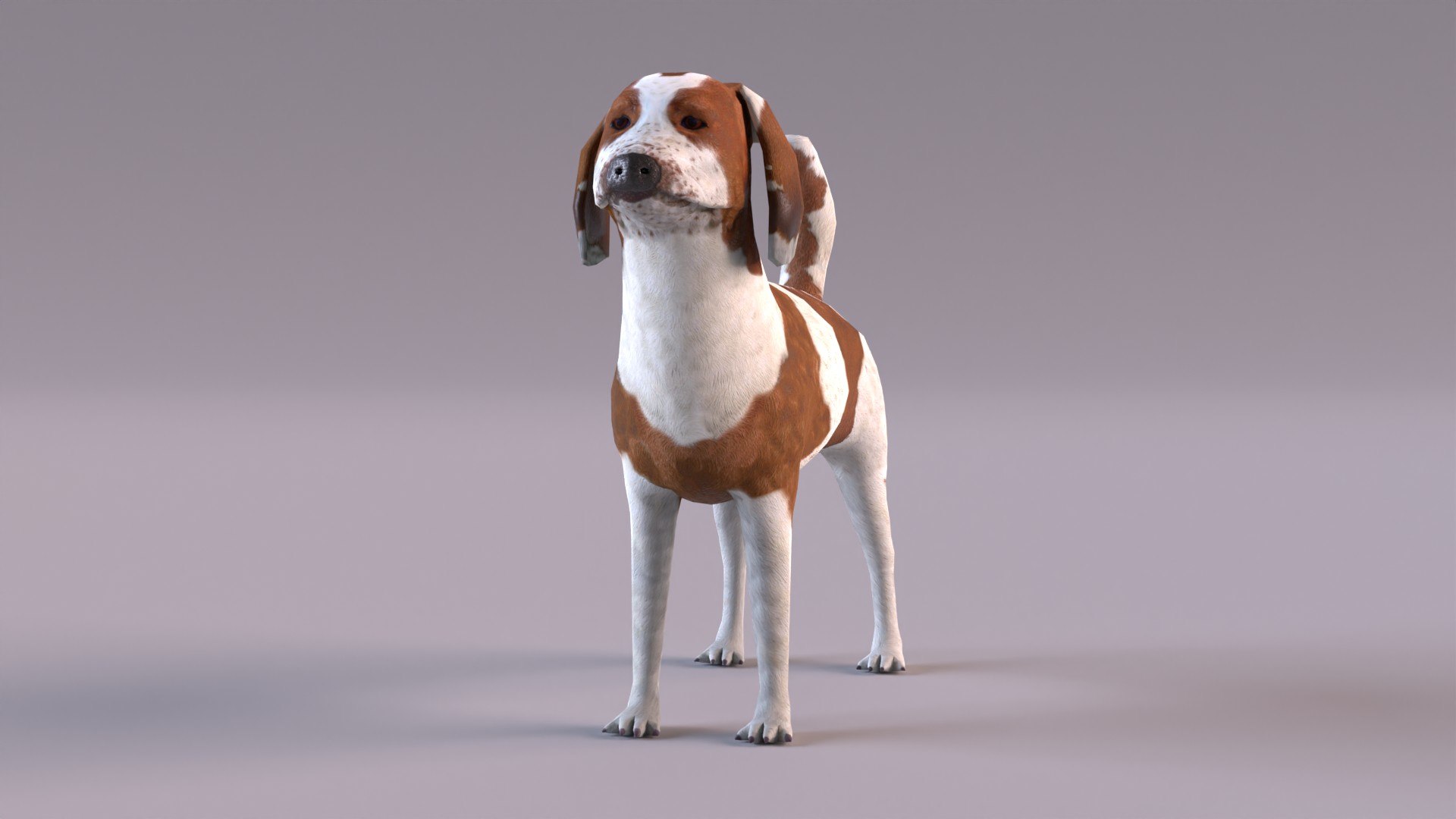 3D beagle dog model - TurboSquid 1431708