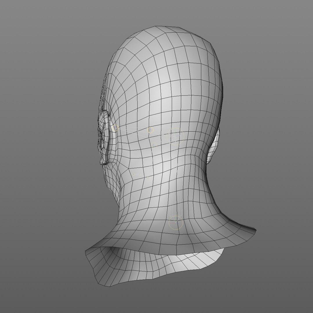 3D realistic head base mesh - TurboSquid 1438804