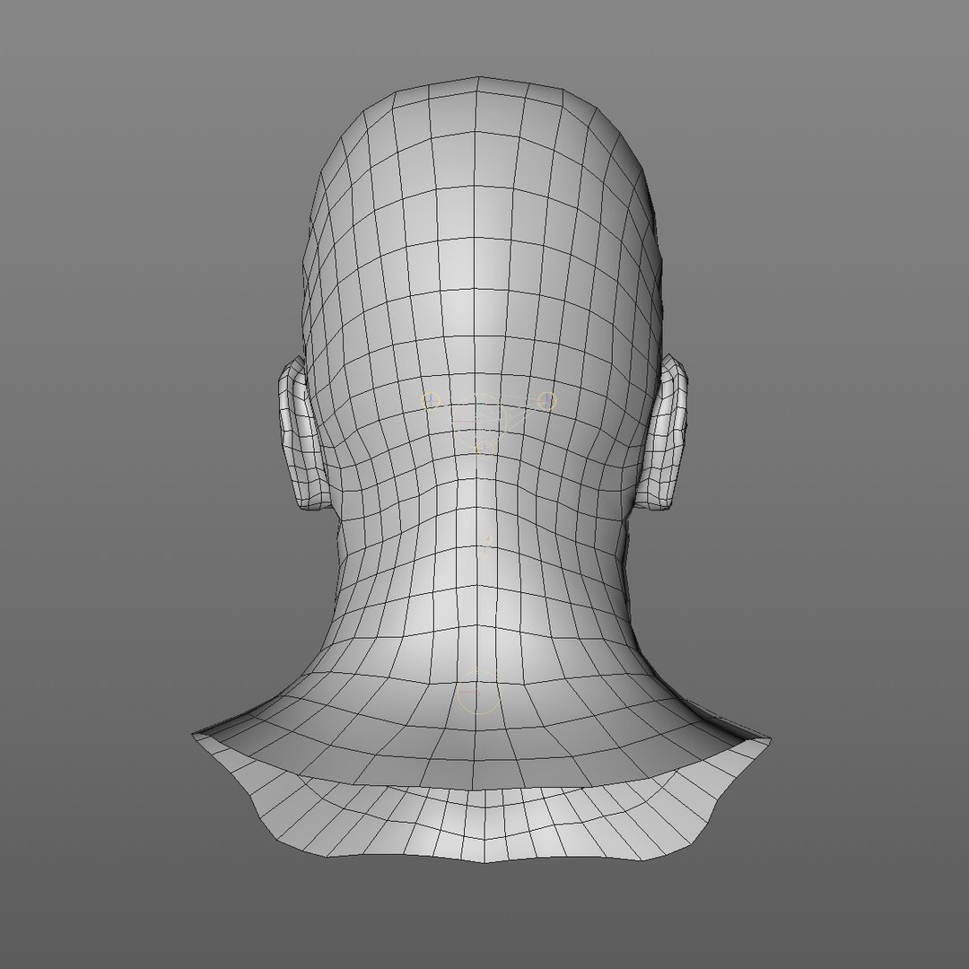 3D realistic head base mesh - TurboSquid 1438804