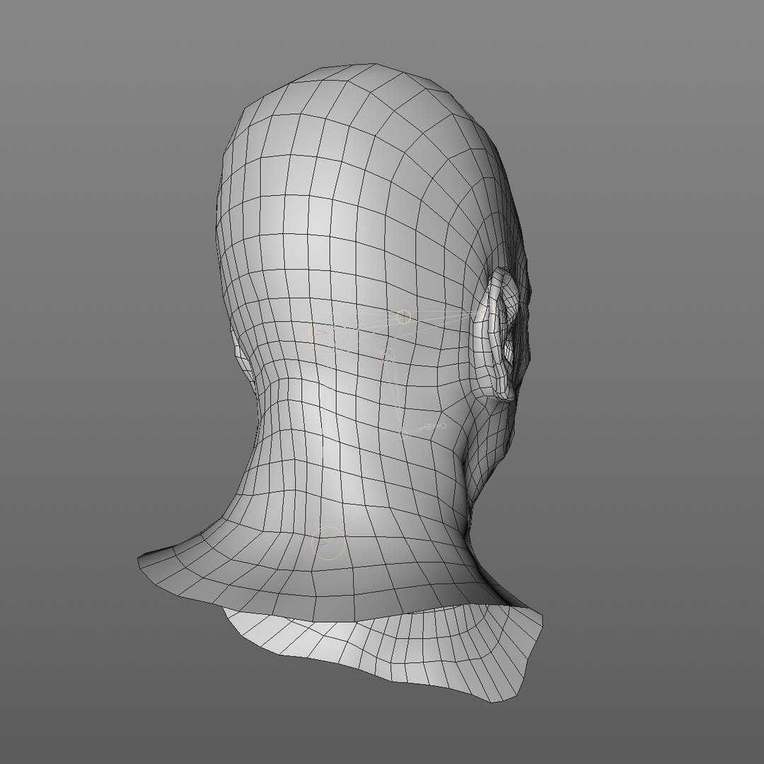 3D realistic head base mesh - TurboSquid 1438804