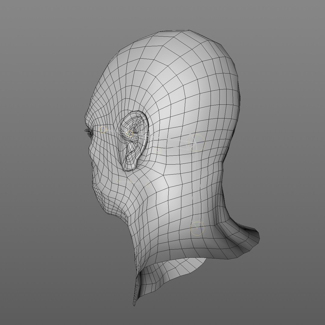 3D realistic head base mesh - TurboSquid 1438804