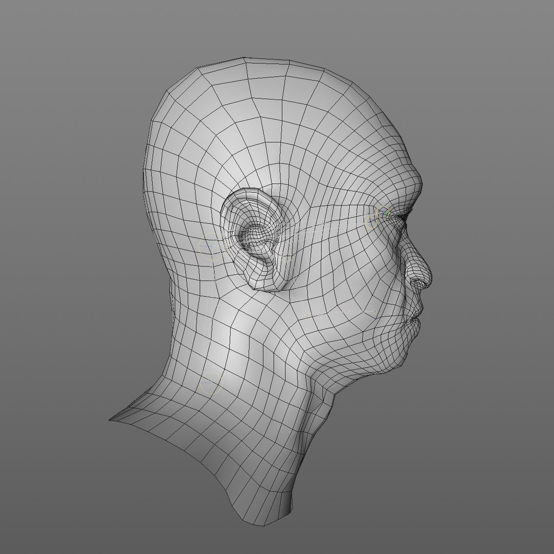 3D realistic head base mesh - TurboSquid 1438804