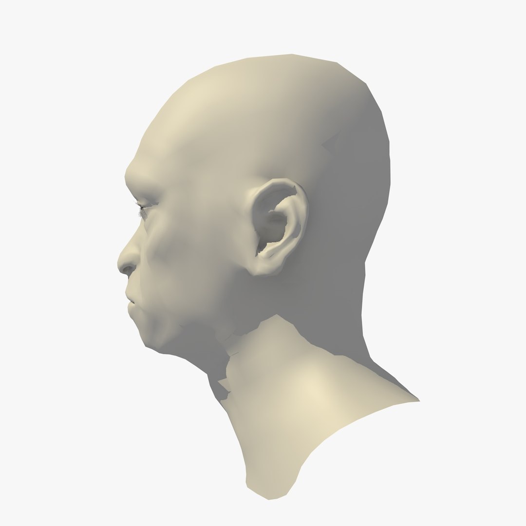 3D Realistic Head Base Mesh - TurboSquid 1438804
