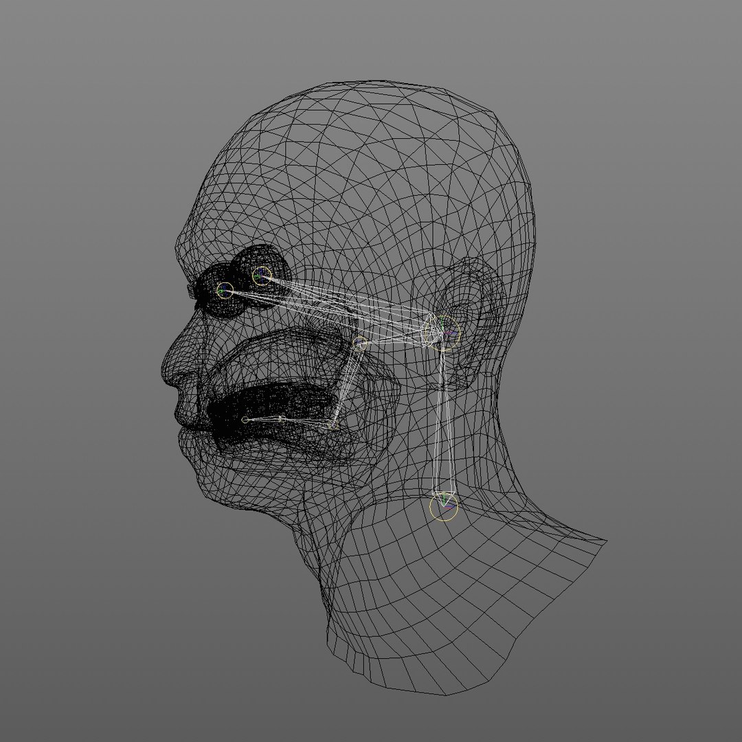 3D realistic head base mesh - TurboSquid 1438804