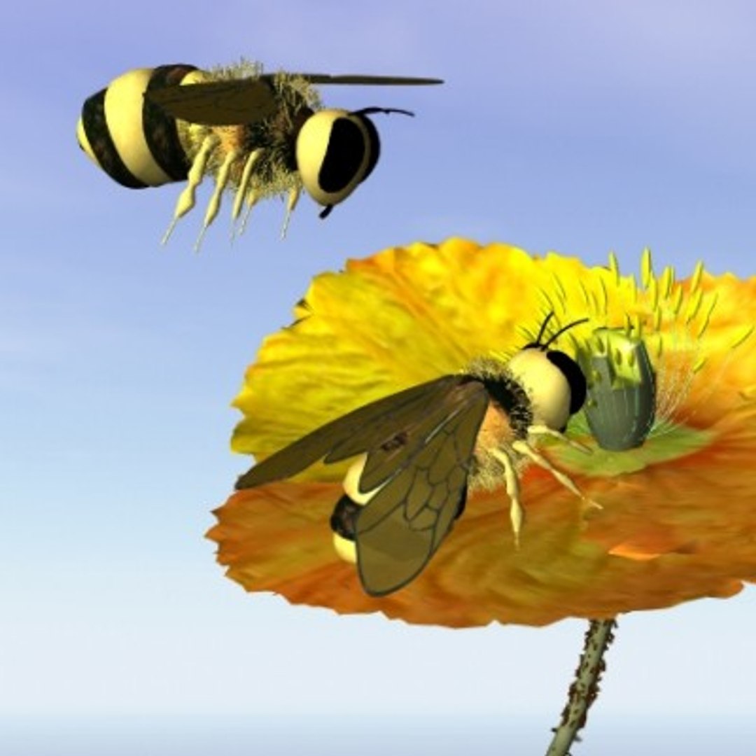 3d golden bee