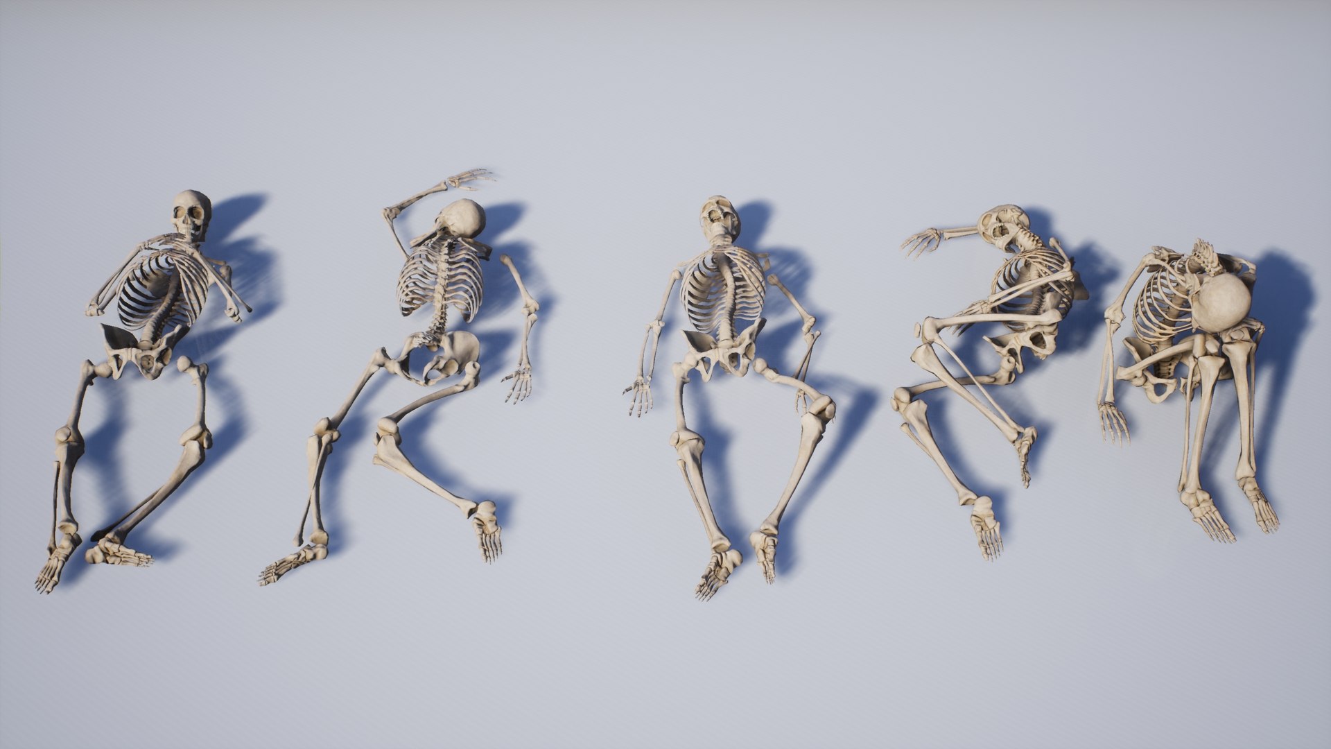 Human Remains Skeleton Body Model - TurboSquid 1338750